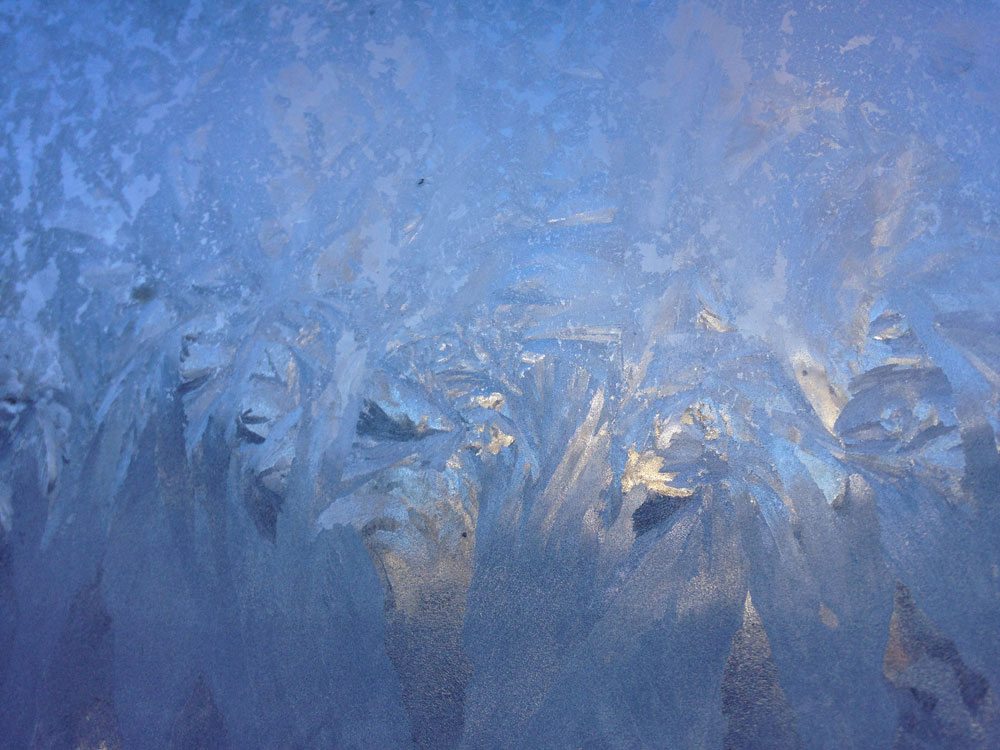 Frost forms art | News, Sports, Jobs - Adirondack Daily Enterprise
